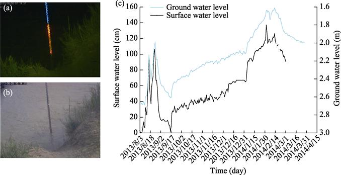 Global Change Research Data Publishing & Repository